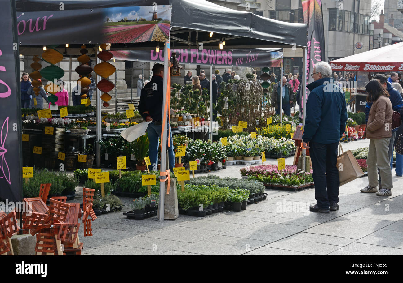 Market stall Nottingham, England Stock Photo - Alamy