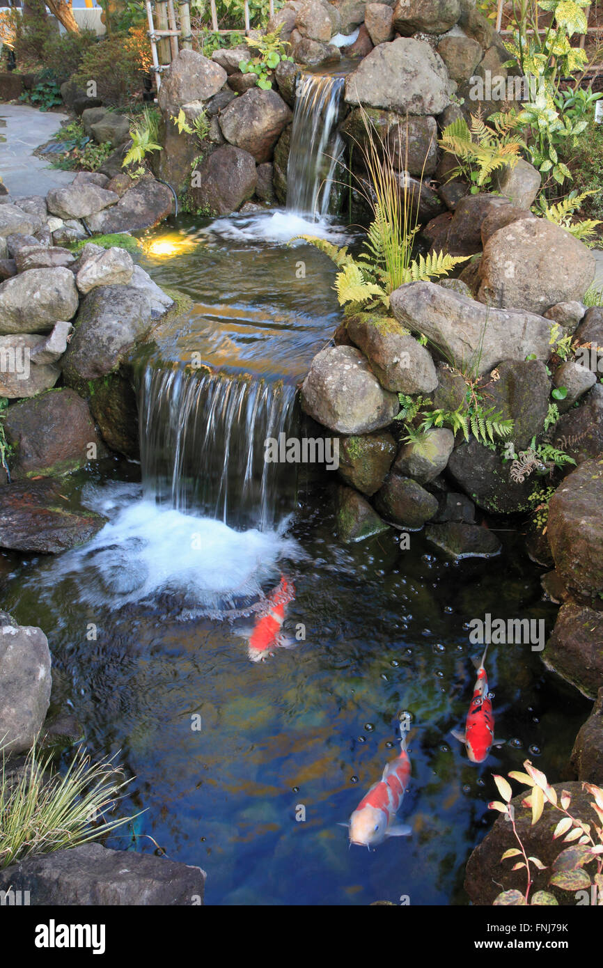 Waterfall Koi Pond