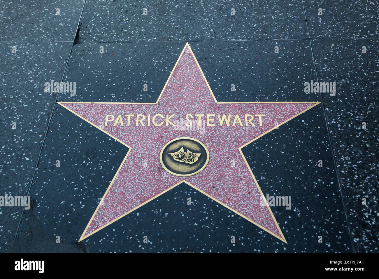 Patrick Star High Resolution Stock Photography and Images - Alamy