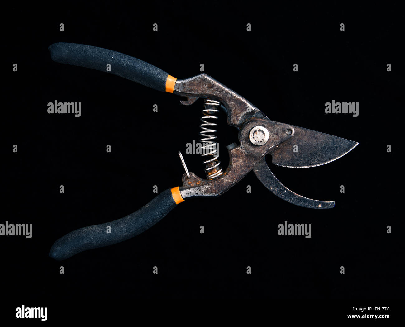 Rusty bypass Garden Clippers open and isolated on a Black background ...