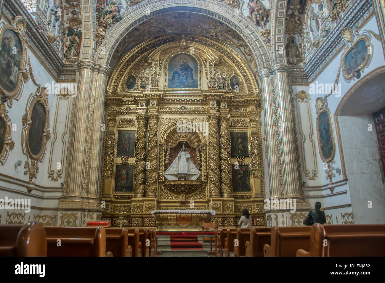 Ethnobotanical garden oaxaca High Resolution Stock Photography and ...