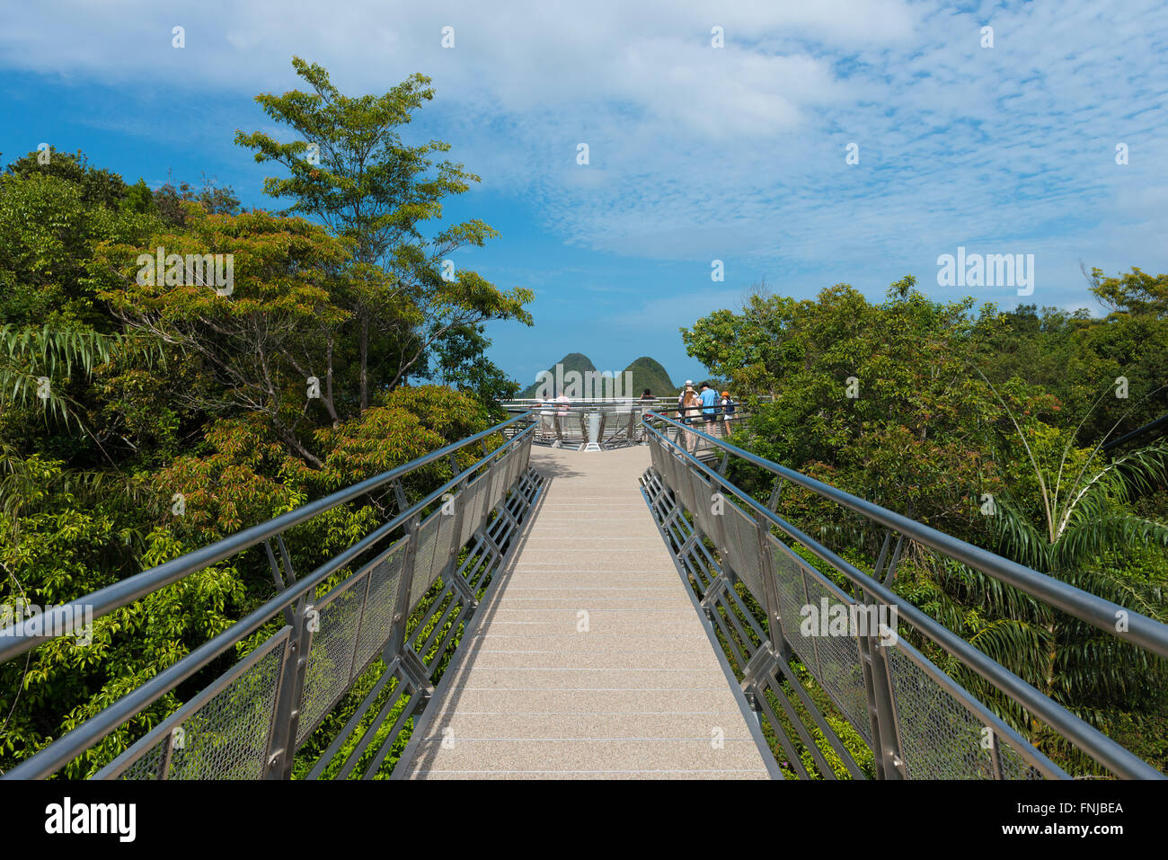 Suspension bridge walkway on the top of Mount Mat Cincang. Langkawi ...
