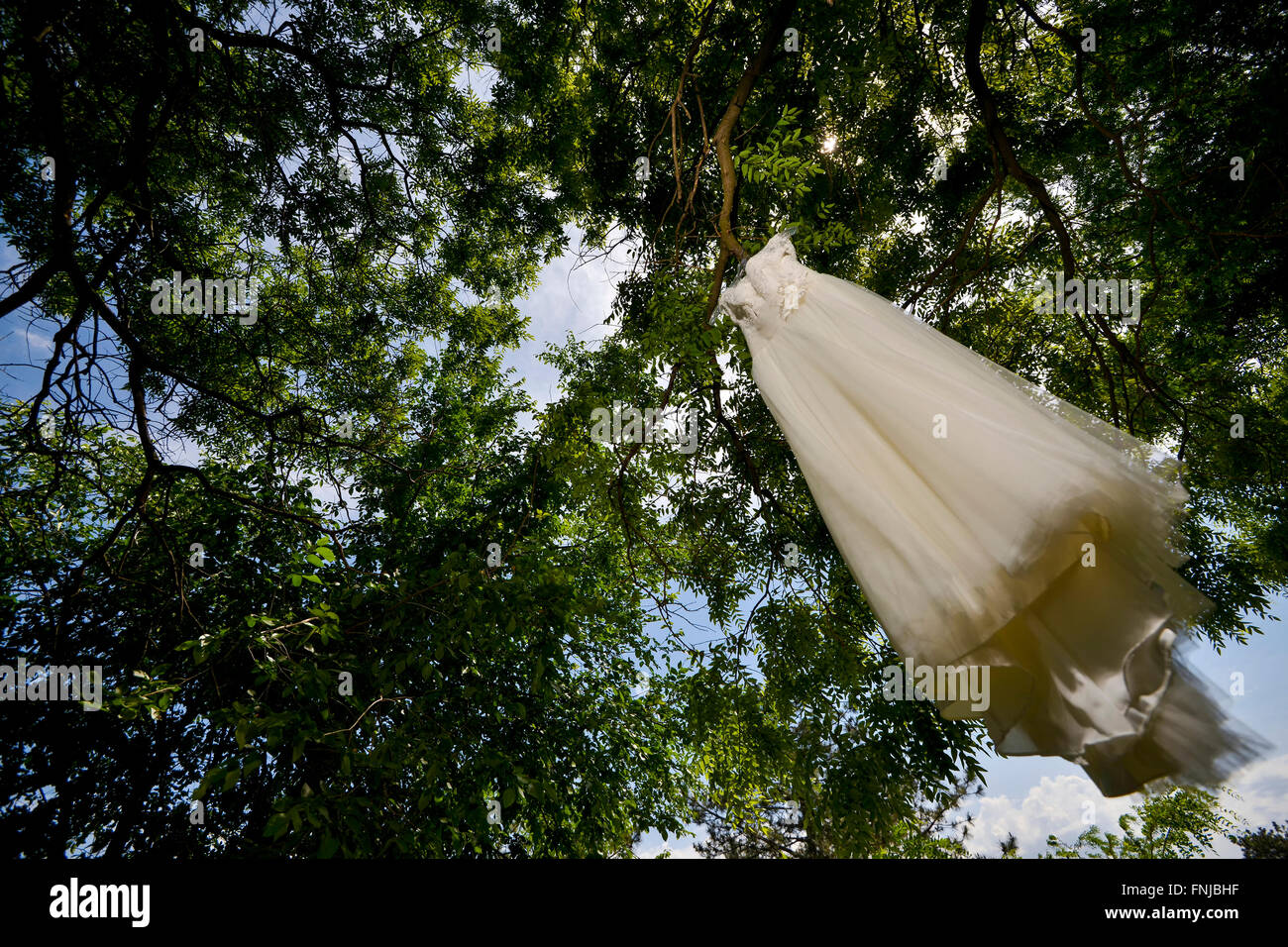 Wedding dress hanging in tree Stock Photo - Alamy