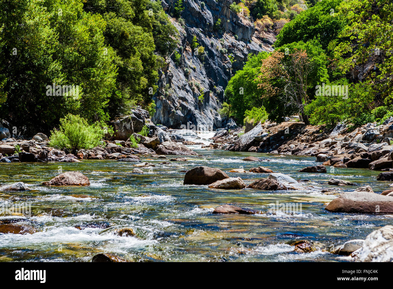 Redwood Creek At Kings Canyon Scenic Byway Highway 180 Kings Canyon
