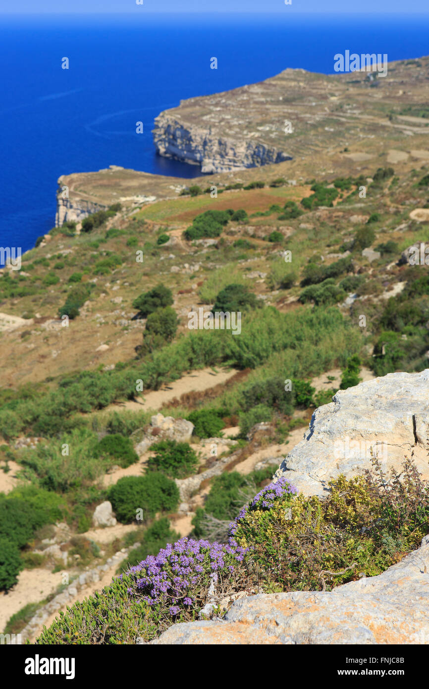 The Dingli Cliffs in Malta, Southern Europe Stock Photo - Alamy