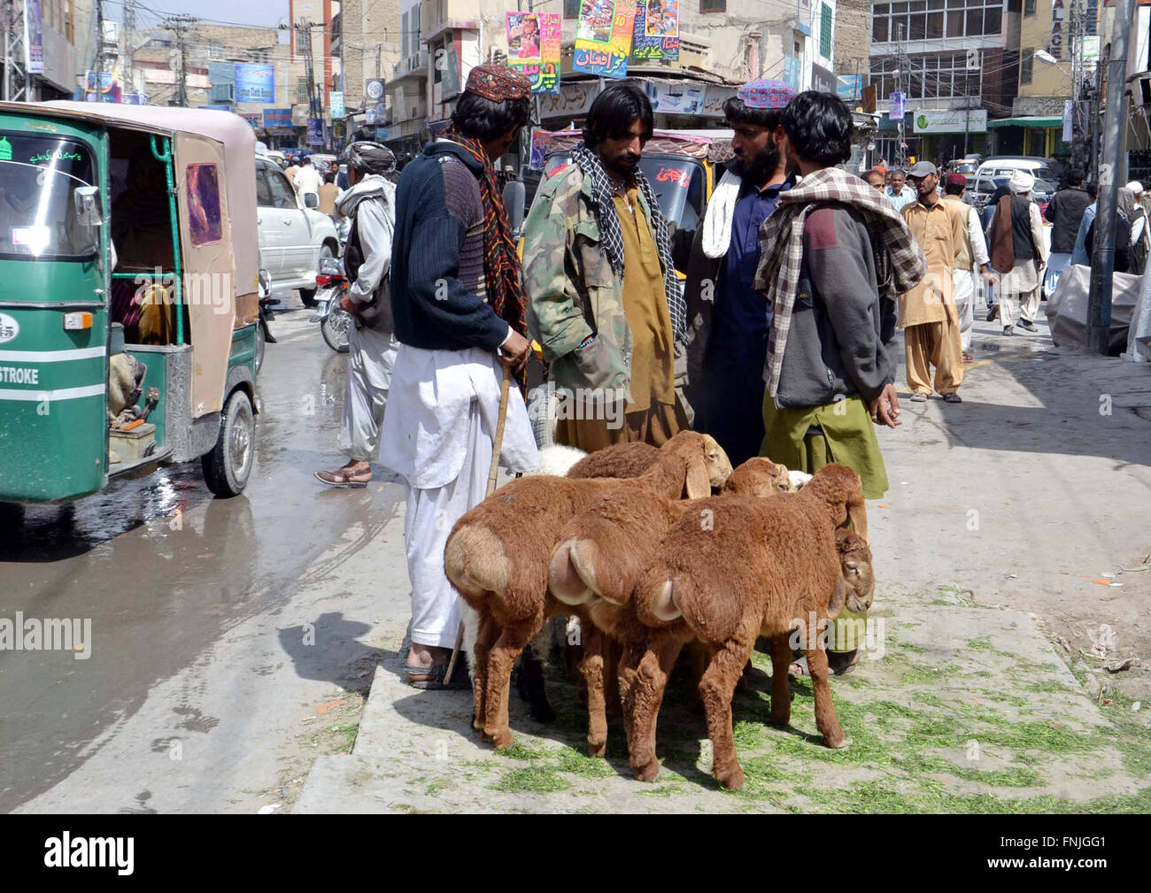 A man sells sheep to earn his livelihood for support his family, at ...