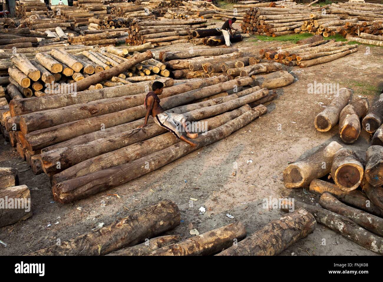Total deforestation hi-res stock photography and images - Alamy