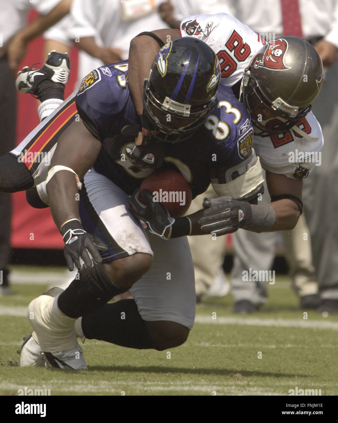 James wilcox hi-res stock photography and images - Alamy