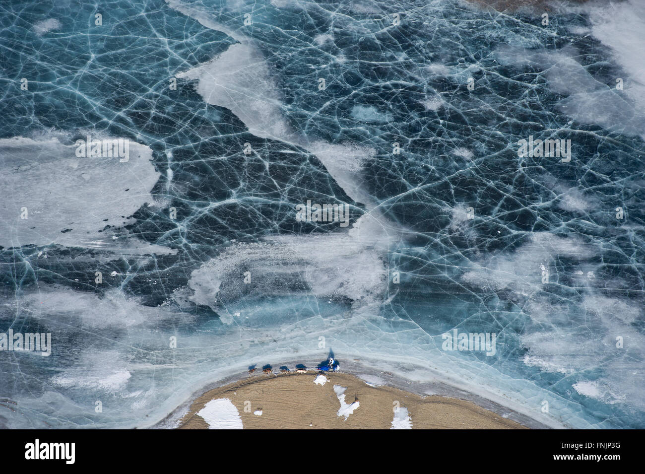 Travis Beals High Resolution Stock Photography and Images - Alamy