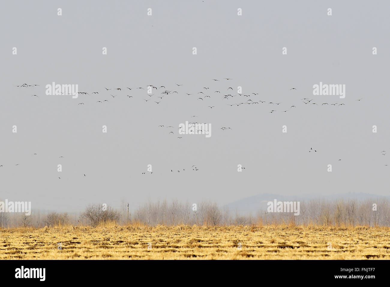 Huichun hi-res stock photography and images - Alamy