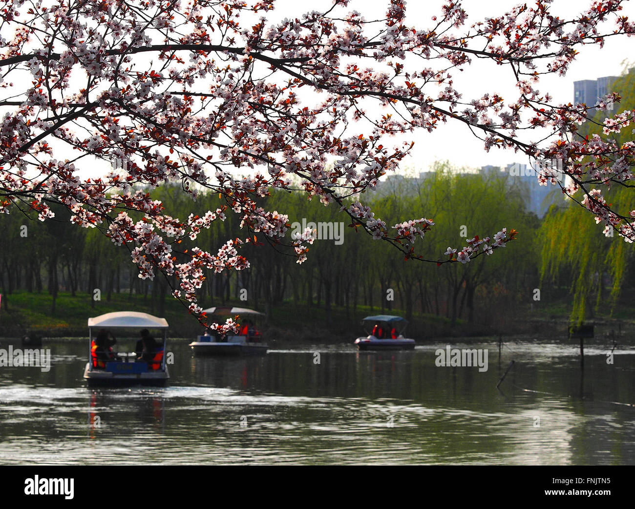 Shanghai, China. 16th Mar, 2016. Visitors go boating on a lake by ...
