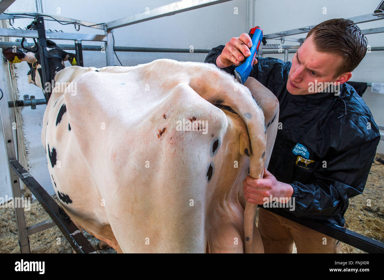 Karow, Germany. 16th Mar, 2016. Dominik Weber uses an electric razor to ...