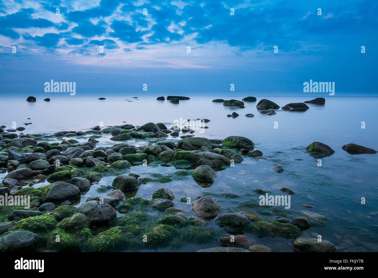 Foundlings on shore of the Baltic Sea Stock Photo - Alamy