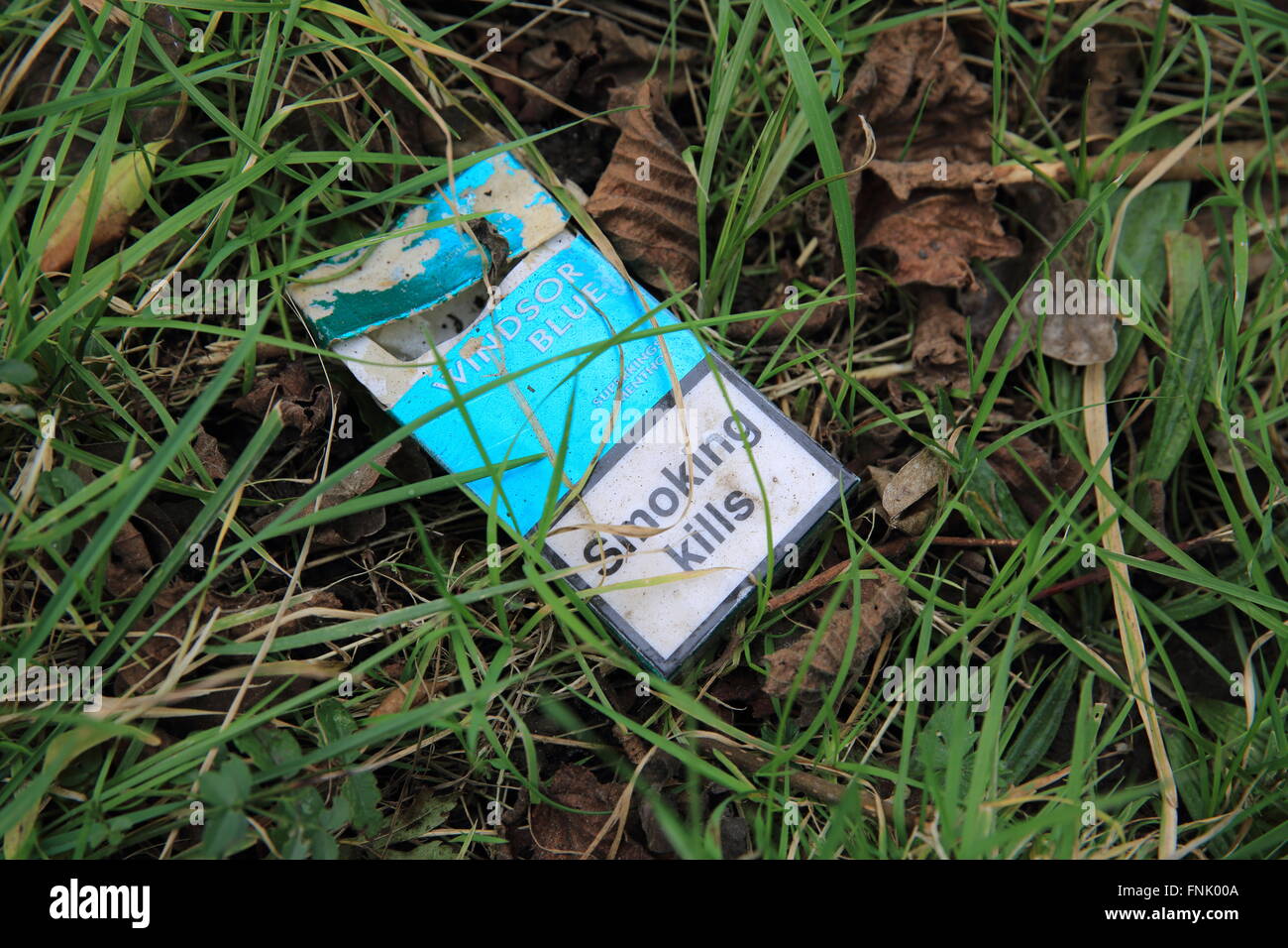 Litter in english countryside hi-res stock photography and images - Alamy