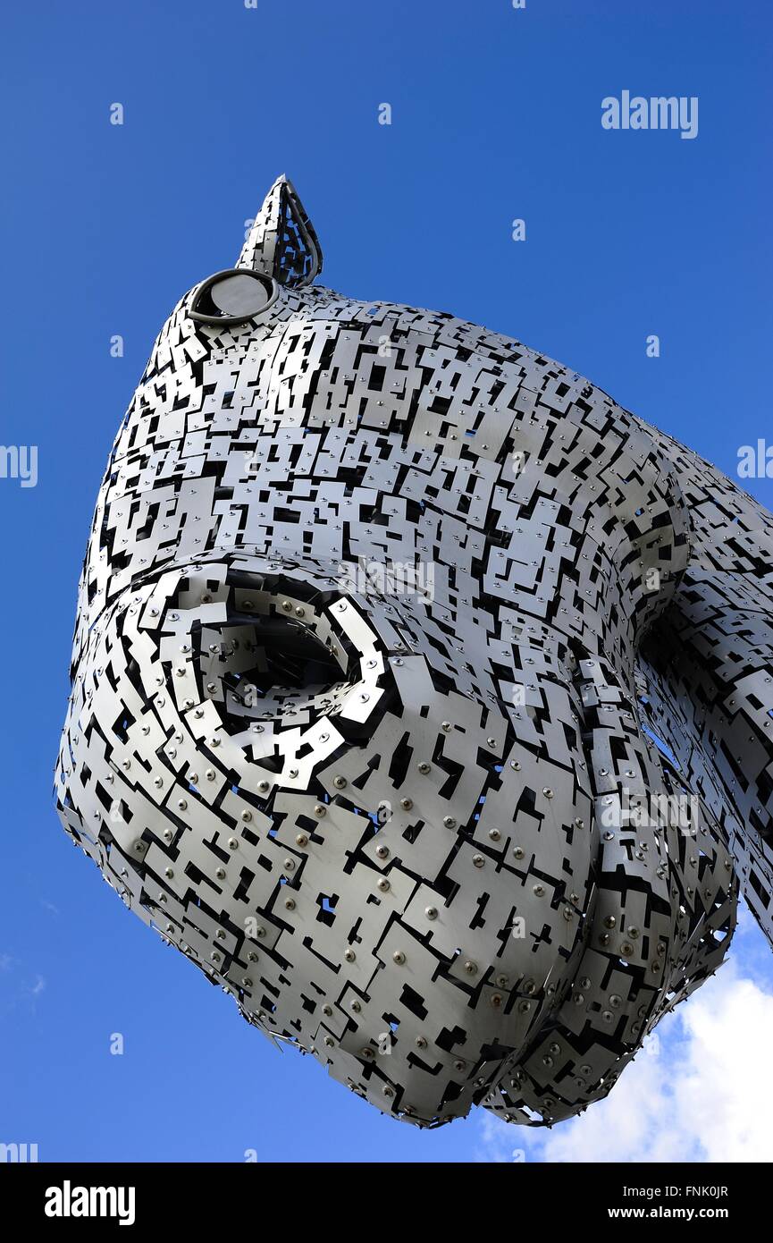 Close up of the Kelpies Head Stock Photo - Alamy