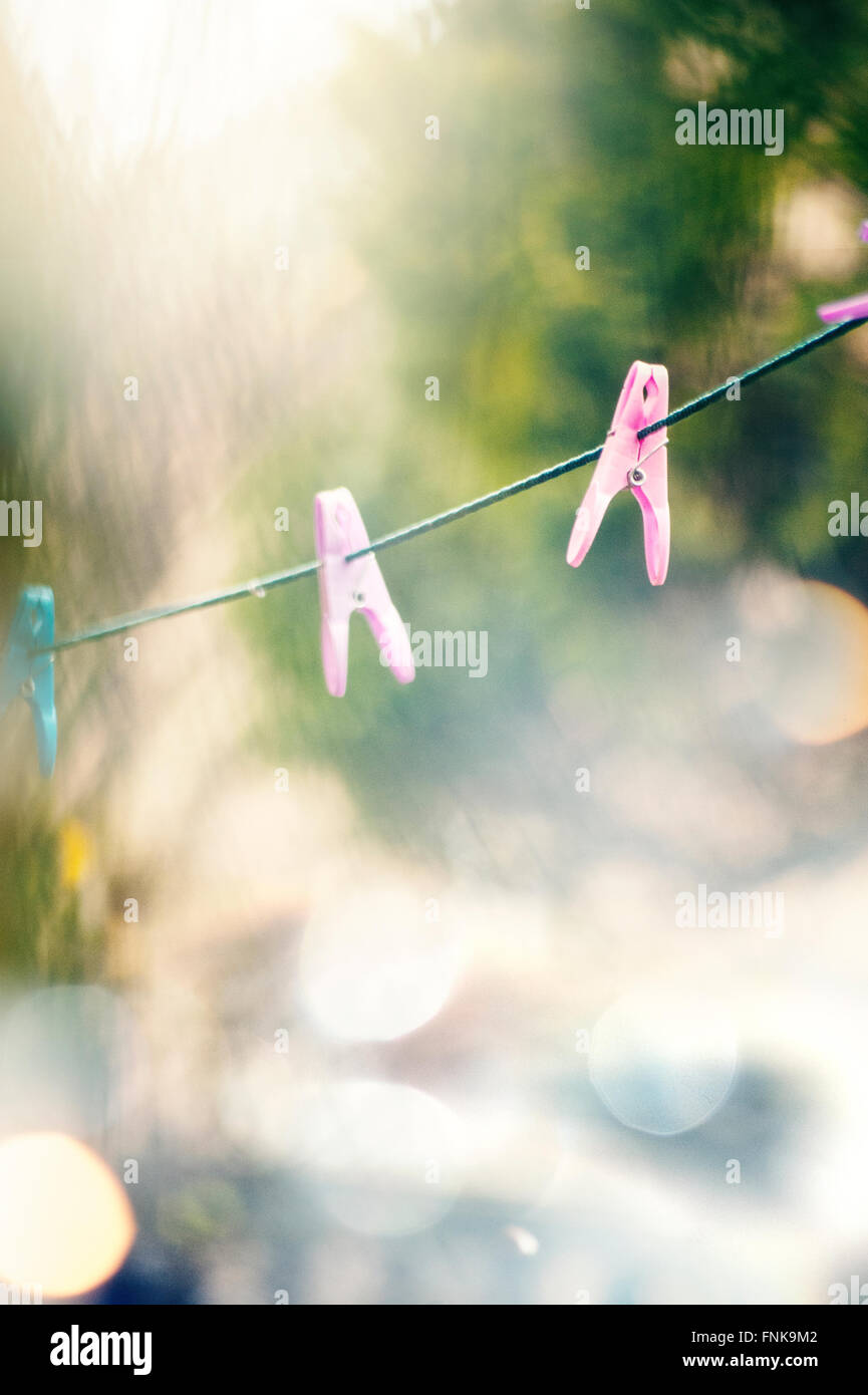 washing line with pegs in the garden Stock Photo - Alamy