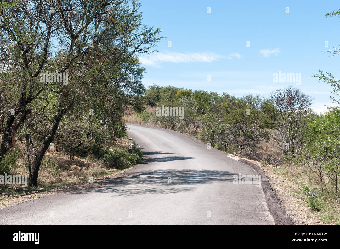 A mountain pass in the Mountain Zebra National Park near Cradock in ...