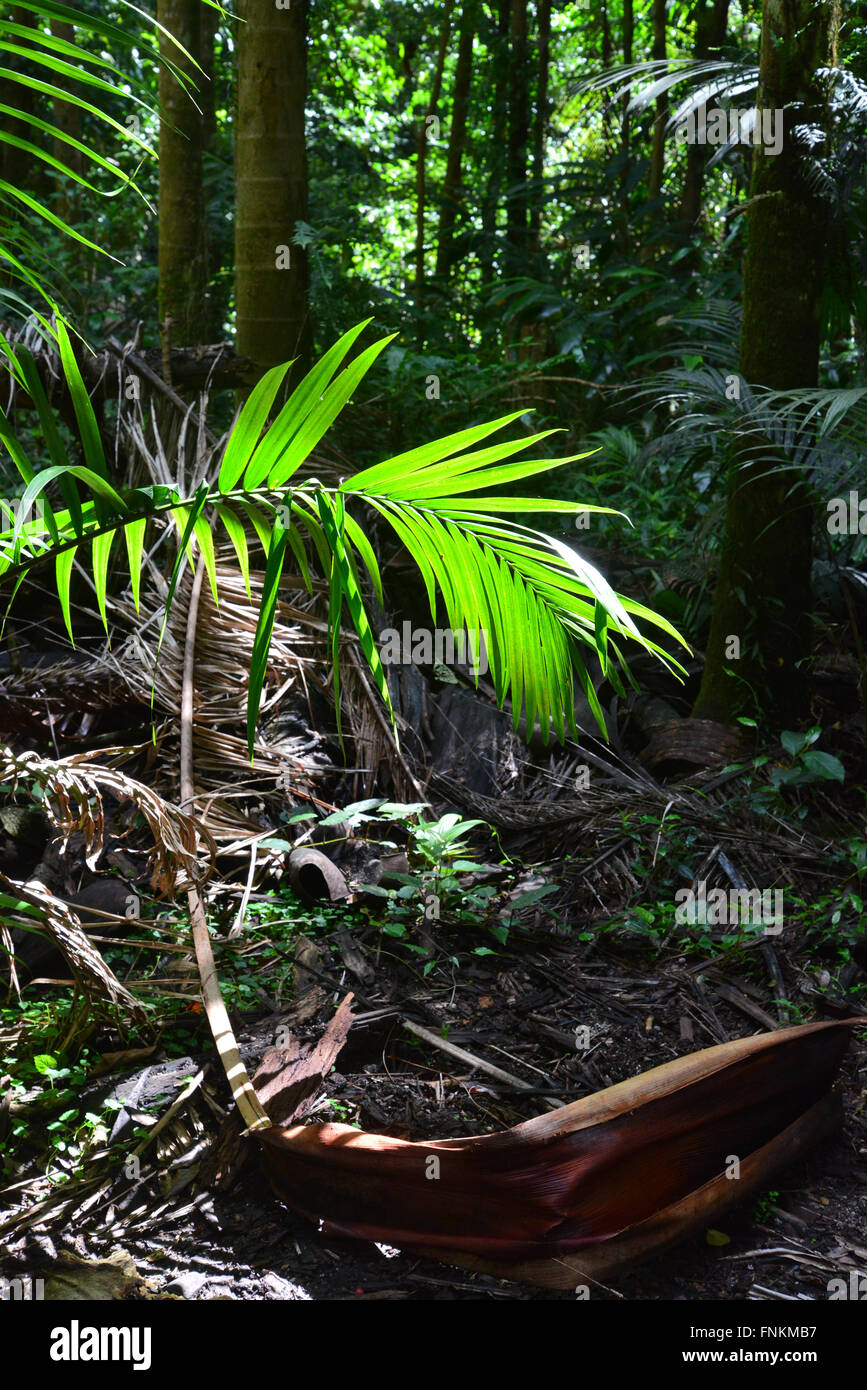 Mount warning hi-res stock photography and images - Alamy