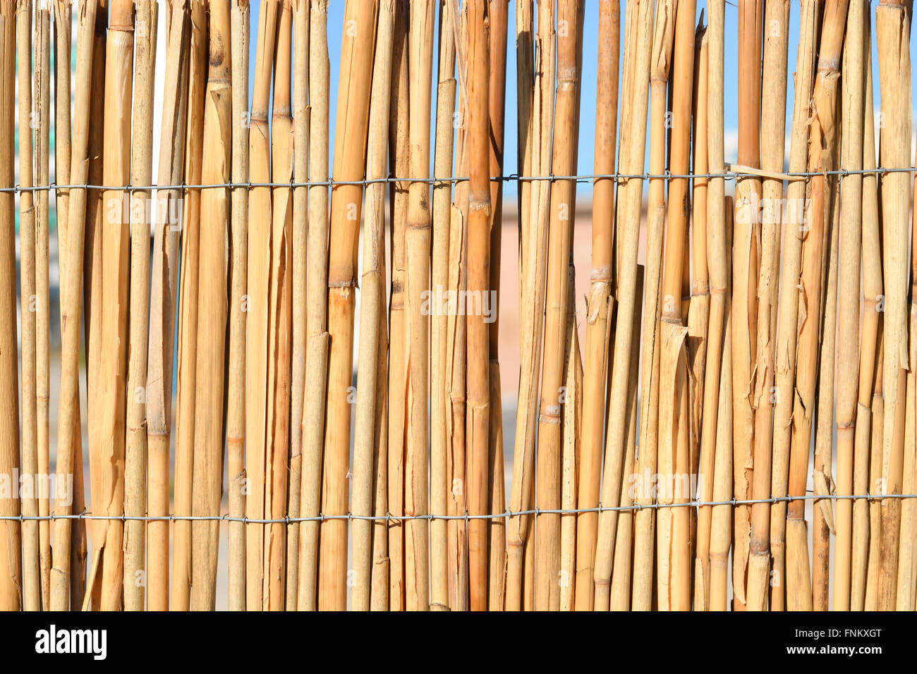Cane fence hi-res stock photography and images - Alamy