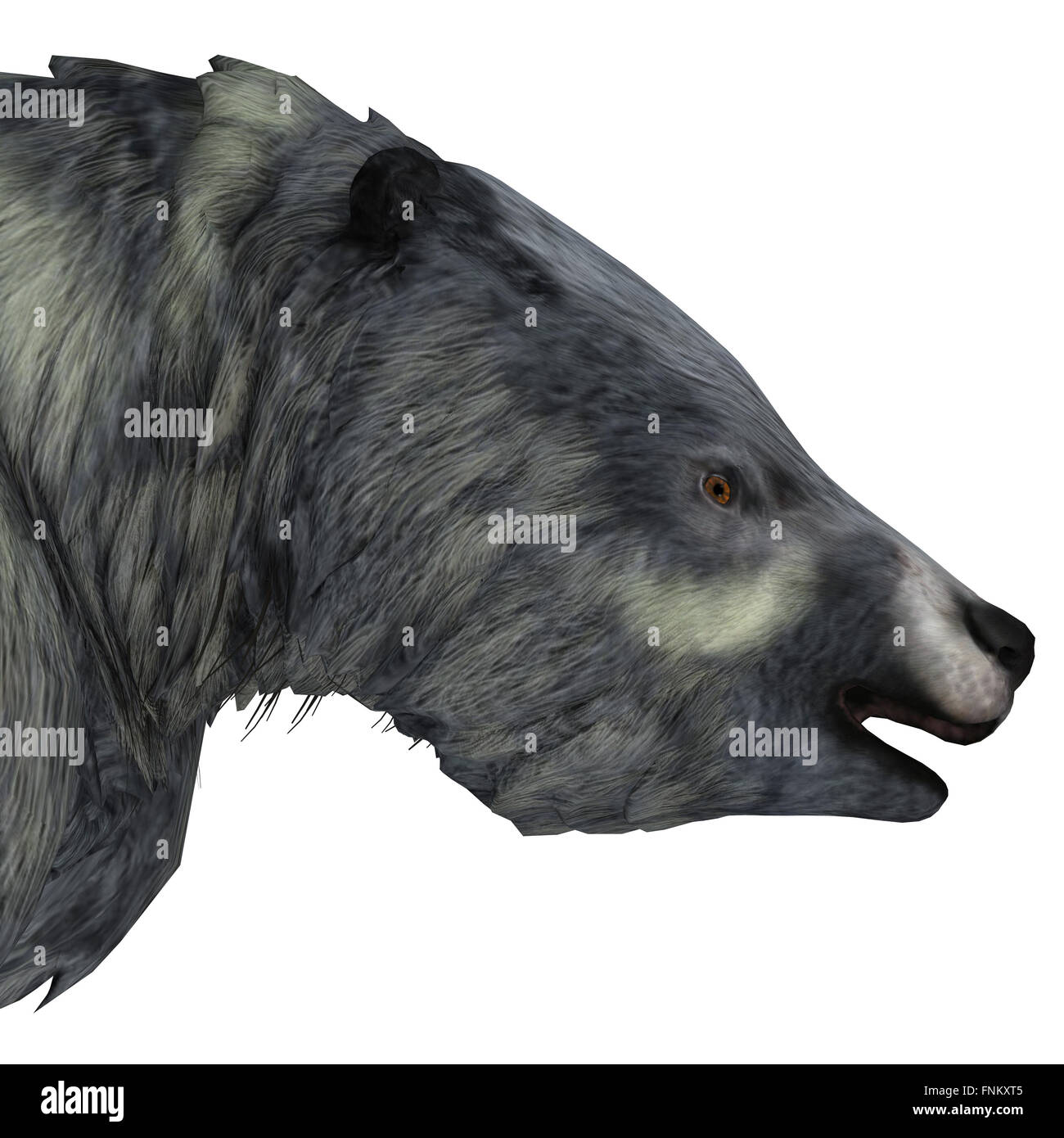 Giant ground sloth hi-res stock photography and images - Alamy