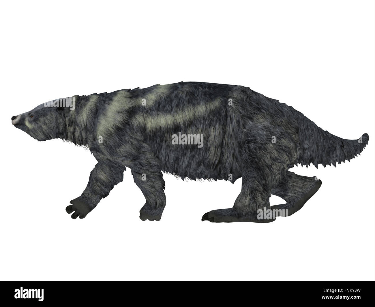 Eremotherium was one of the largest ground sloths that lived in North ...