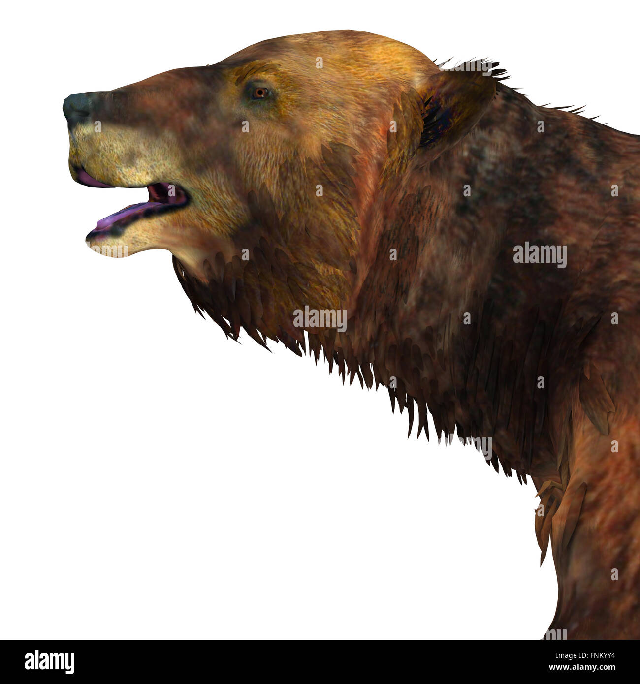 Megatherium was one of the largest ground sloths that lived in Central ...