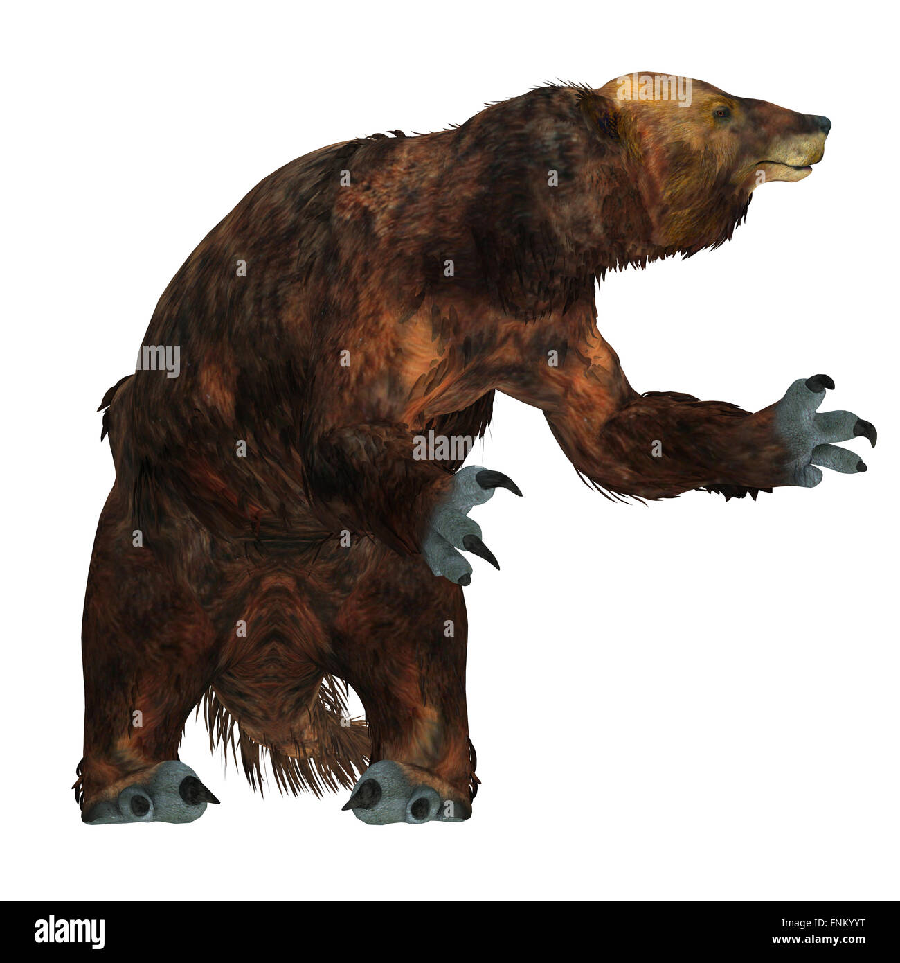 Megatherium Americanum