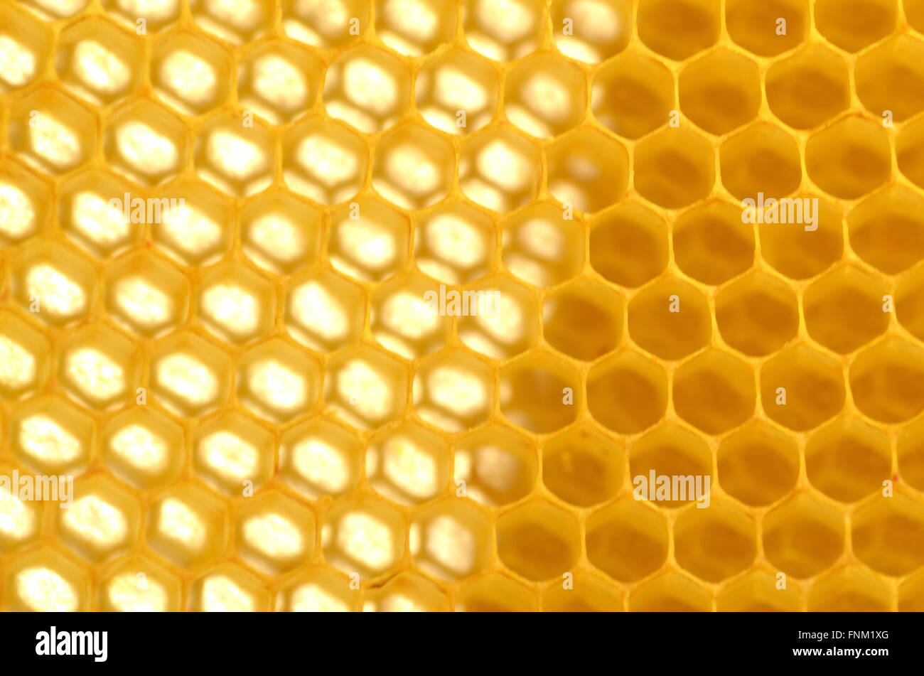 Honeycomb yellow hi-res stock photography and images - Alamy