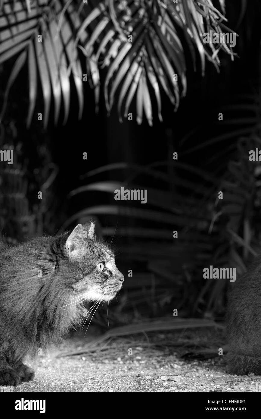 Control beach Black and White Stock Photos & Images - Alamy