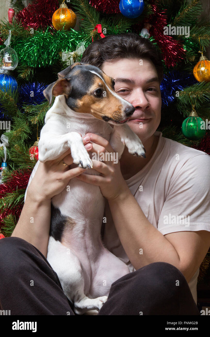 man holds on hands Jack Russell Terrier Stock Photo - Alamy