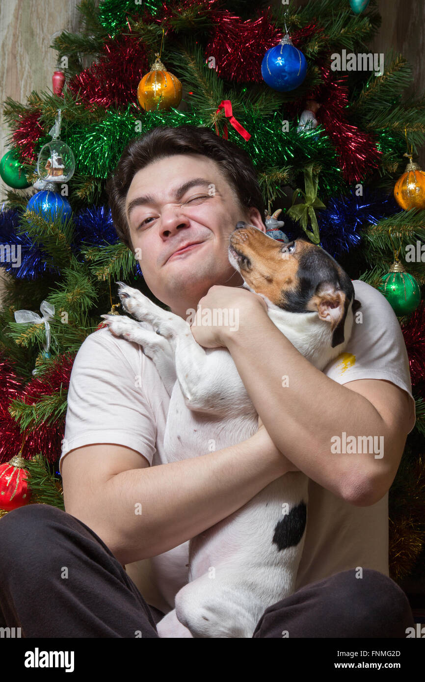 man holds on hands Jack Russell Terrier Stock Photo - Alamy