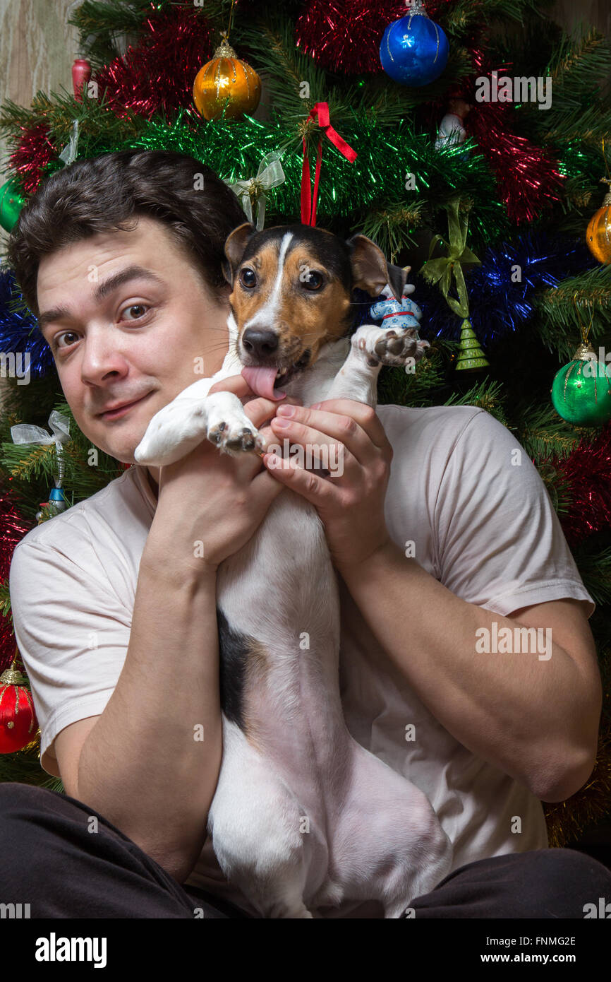 man holds on hands Jack Russell Terrier Stock Photo - Alamy