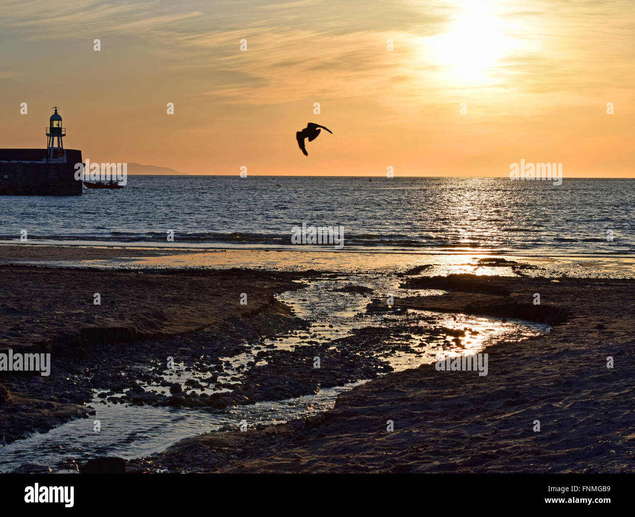 Beautiful sunset beach hi-res stock photography and images - Alamy