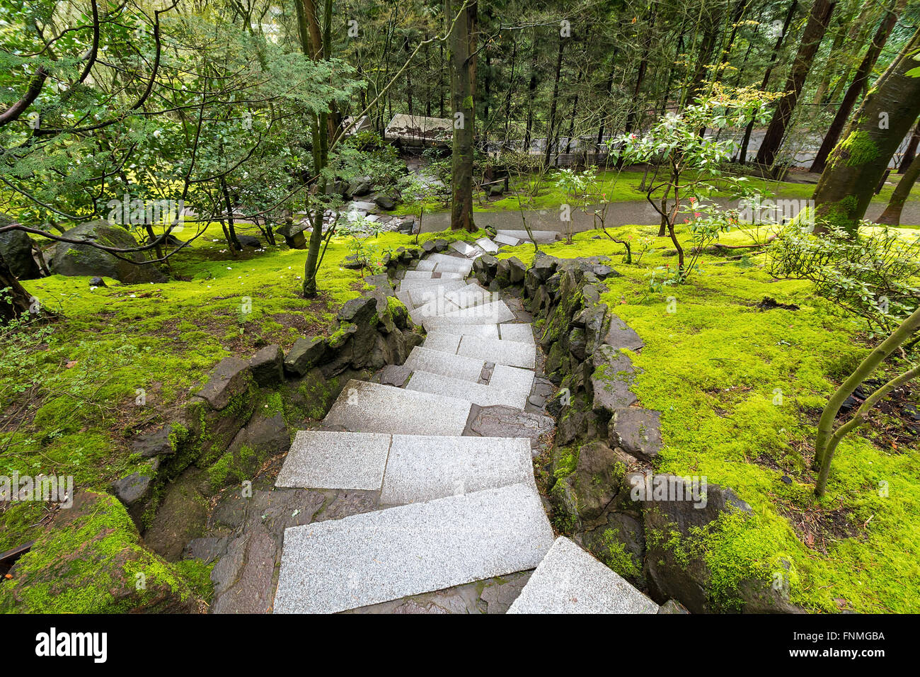 Granite Stone Steps with mossy green landscape at Japanese Garden ...