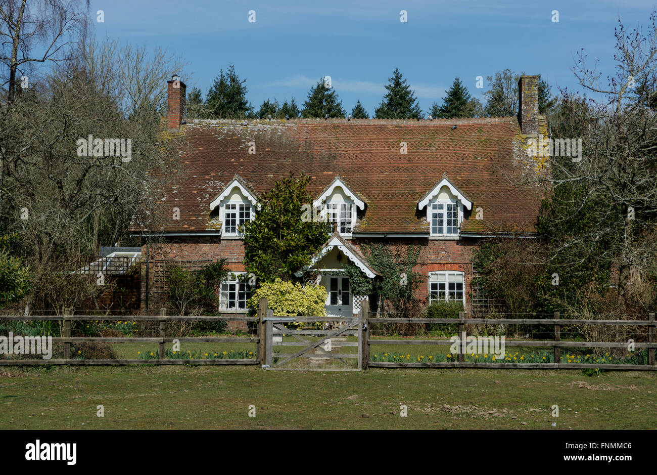 New Forest Cottage Stock Photos & New Forest Cottage Stock Images - Alamy