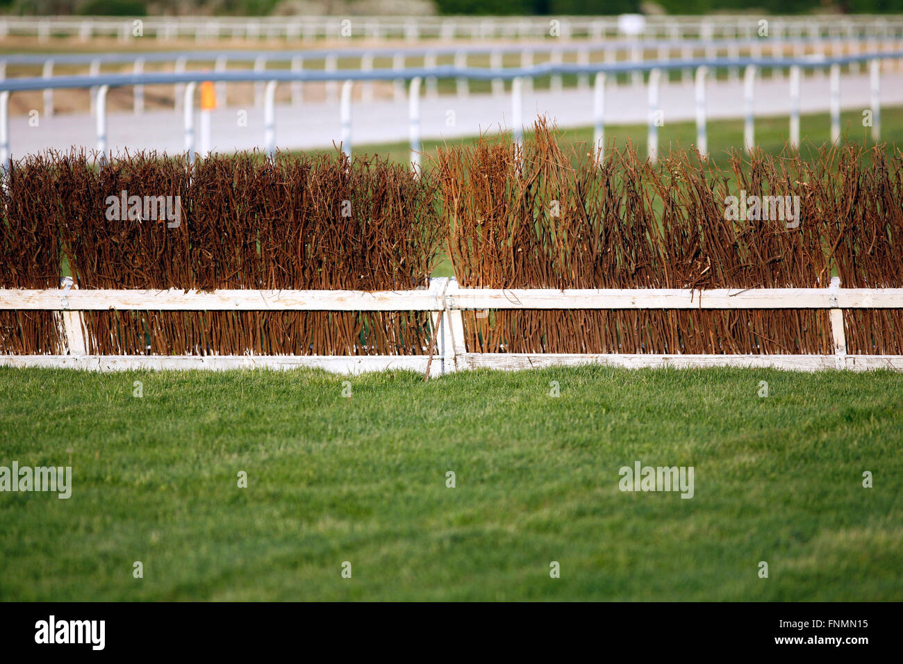 Empty race track for horse racing summertime Stock Photo - Alamy
