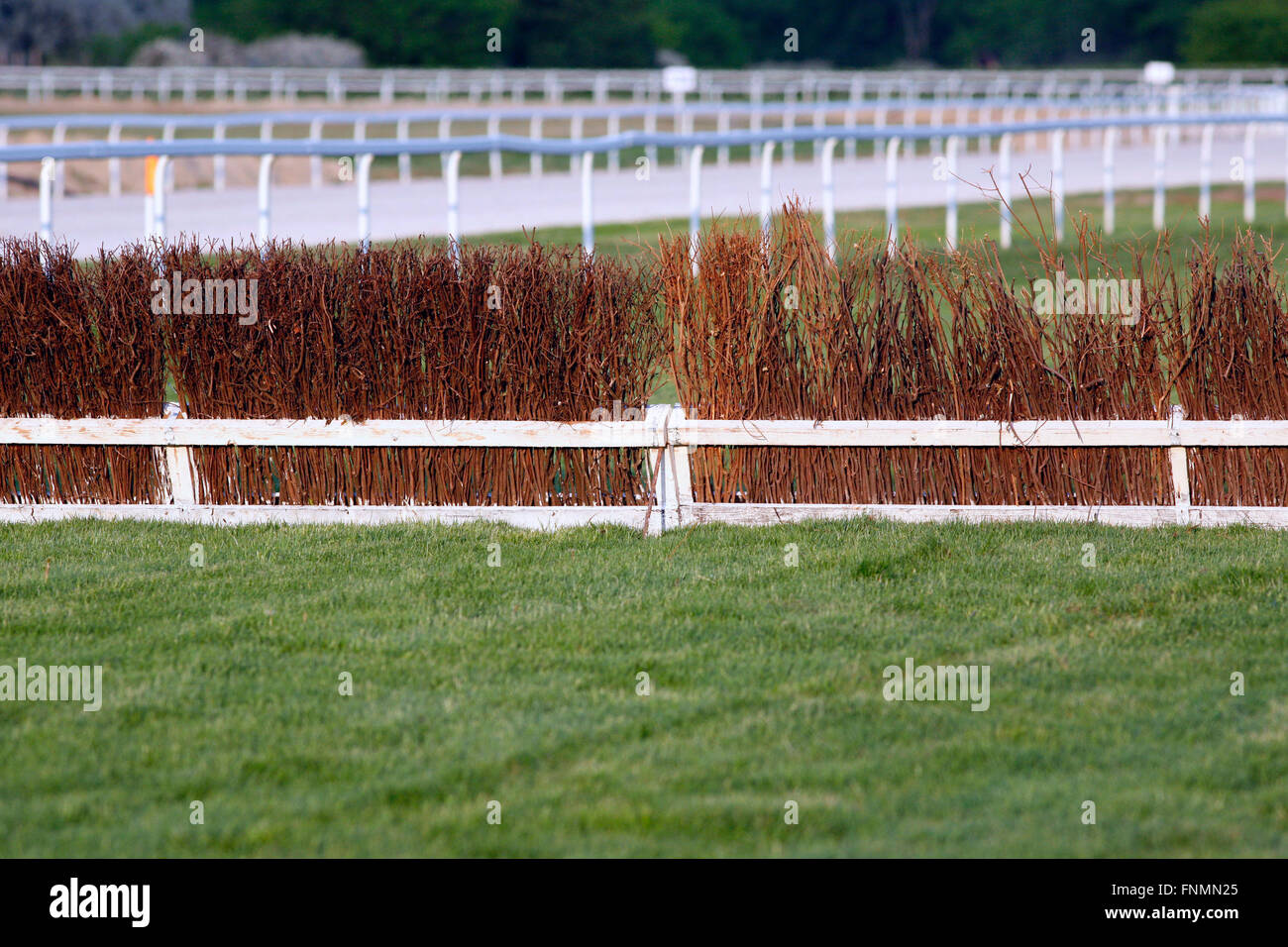 Empty race track for horse racing summertime Stock Photo - Alamy