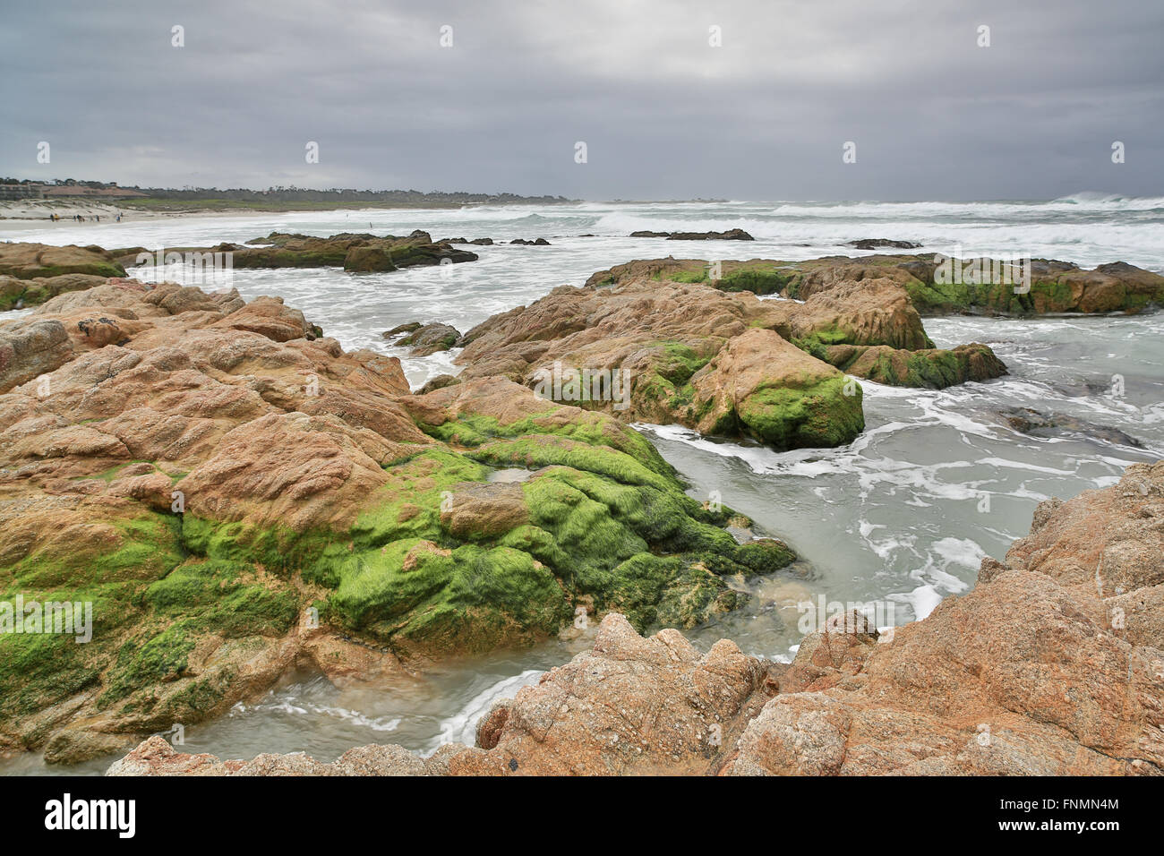 Asilomar State Beach, Monterey Peninsula, Central California Stock ...
