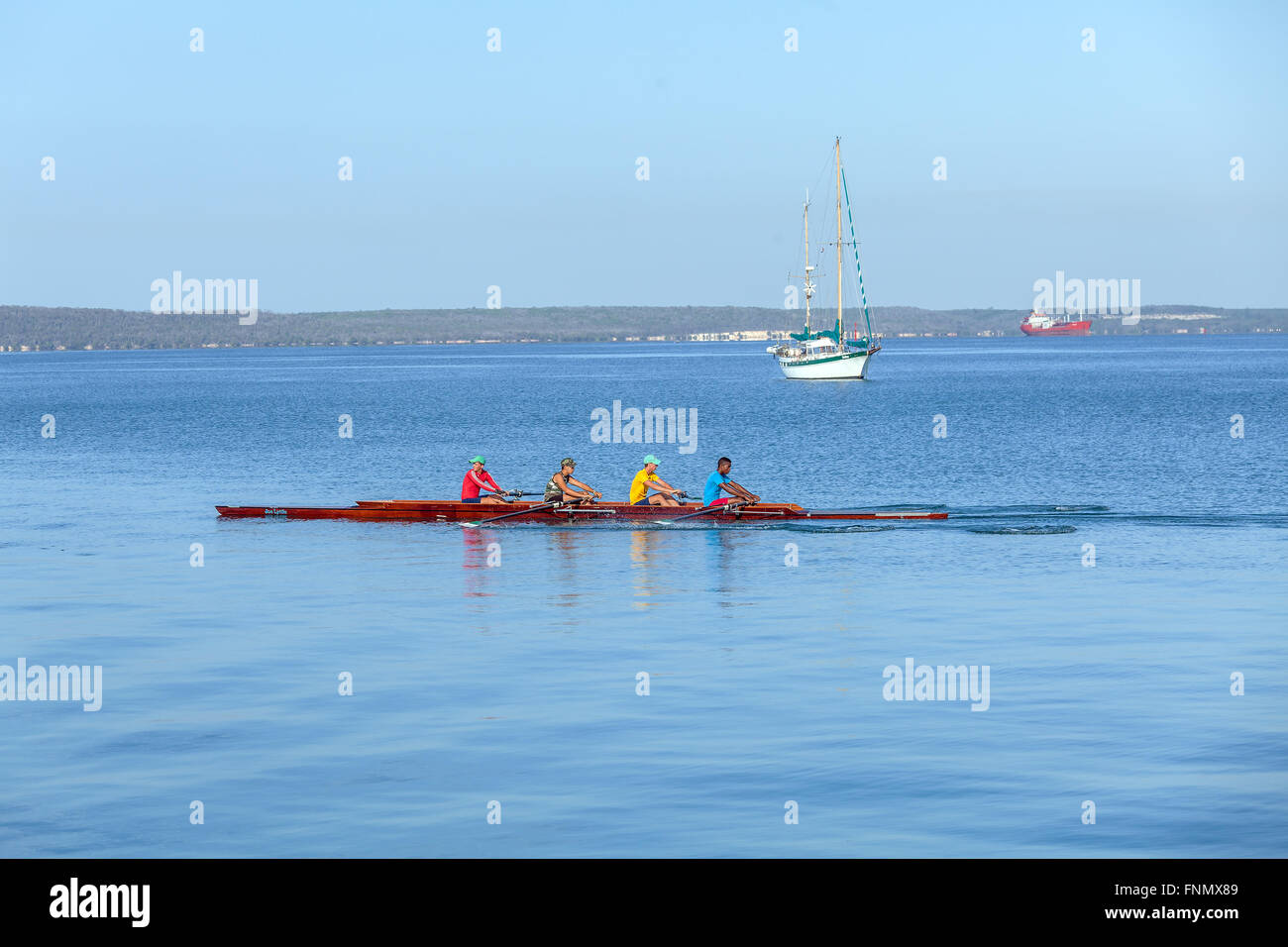 Rowing team hi-res stock photography and images - Alamy