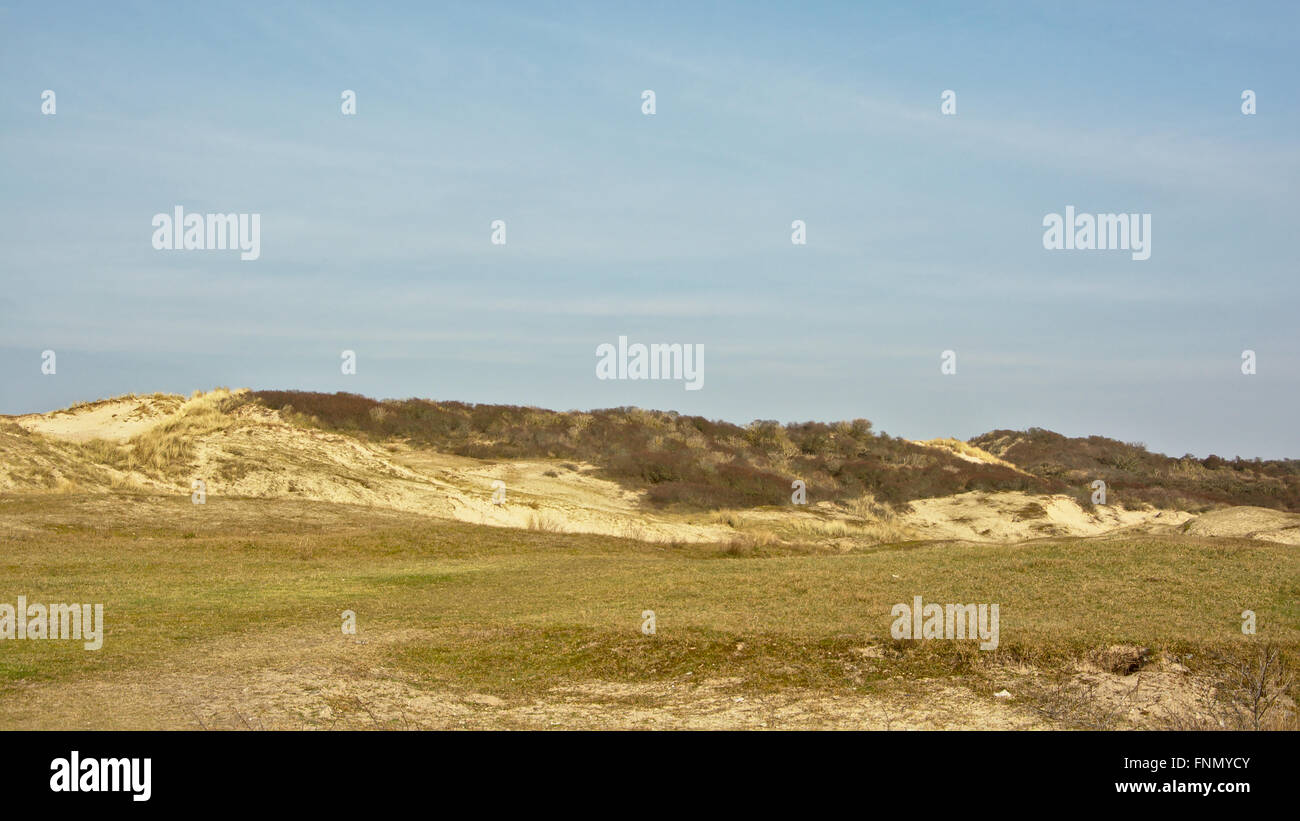 Dunes of the Zwin, nature reserve next to the Belgian coast Stock Photo ...
