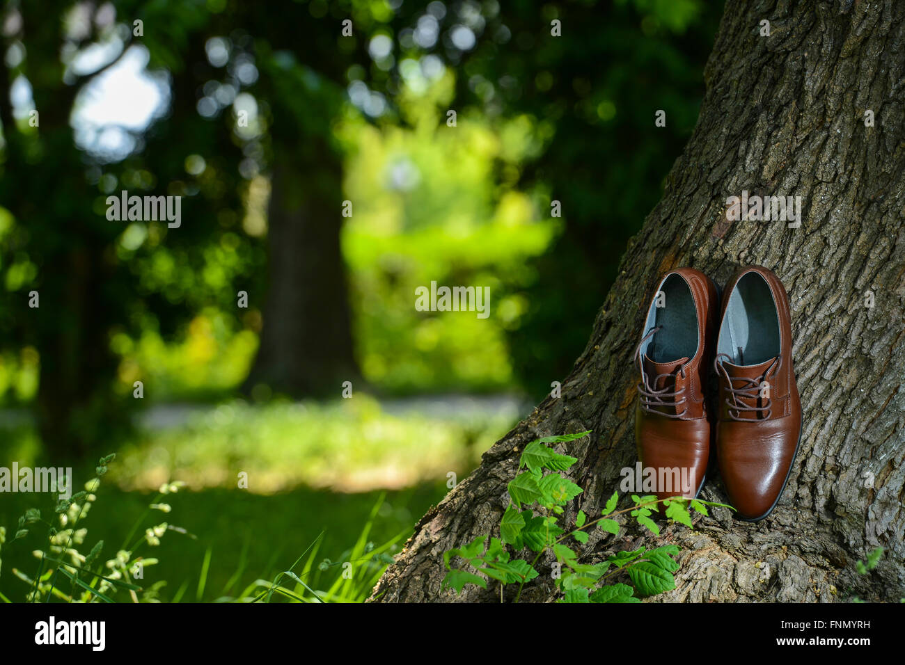 Brown leather men's shoes left near a tree trunk Stock Photo - Alamy