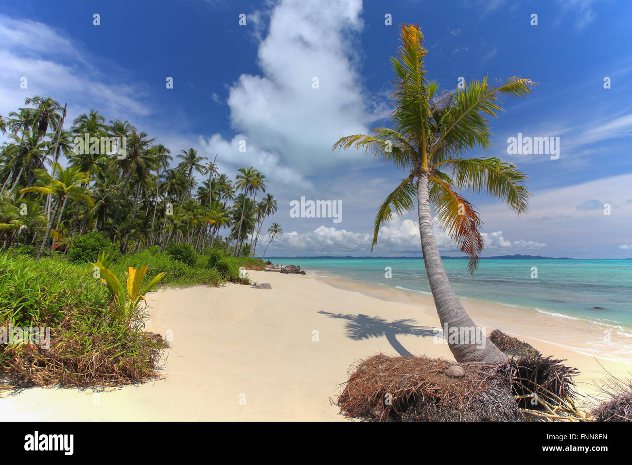 A beautiful holiday sandy beach - landscape Stock Photo - Alamy