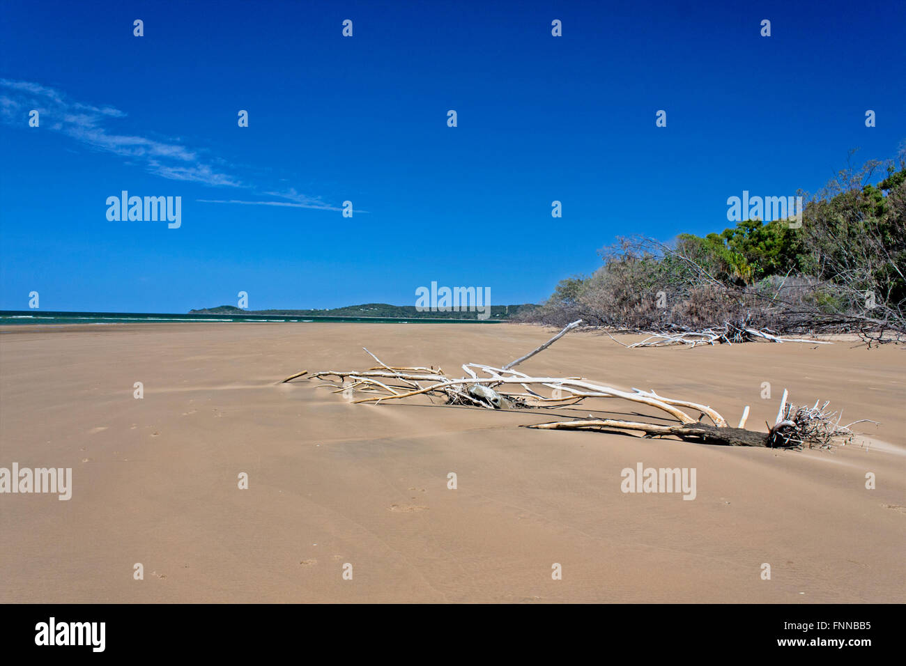 Queensland australia beach hi-res stock photography and images - Alamy
