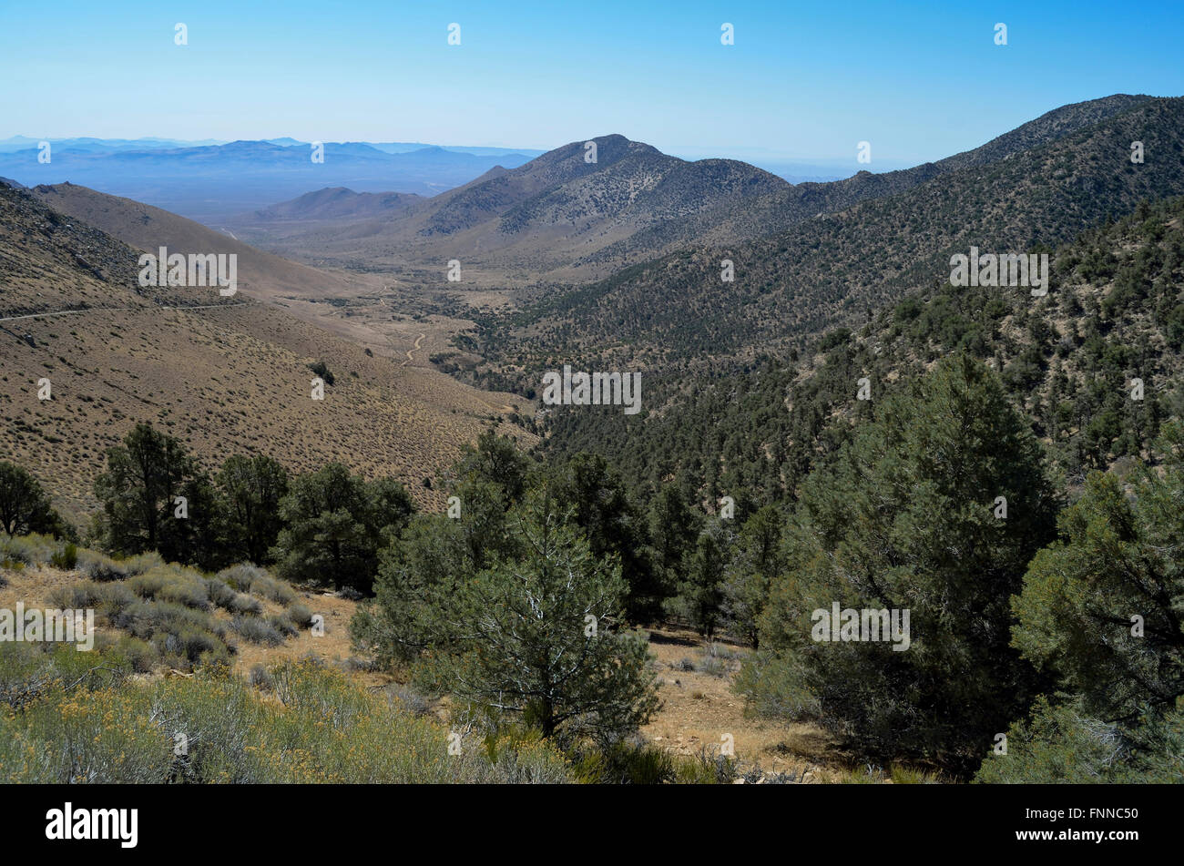 Over looking valley with dirt road on side of mountain. Trees, desert, haze on mountains Stock ...