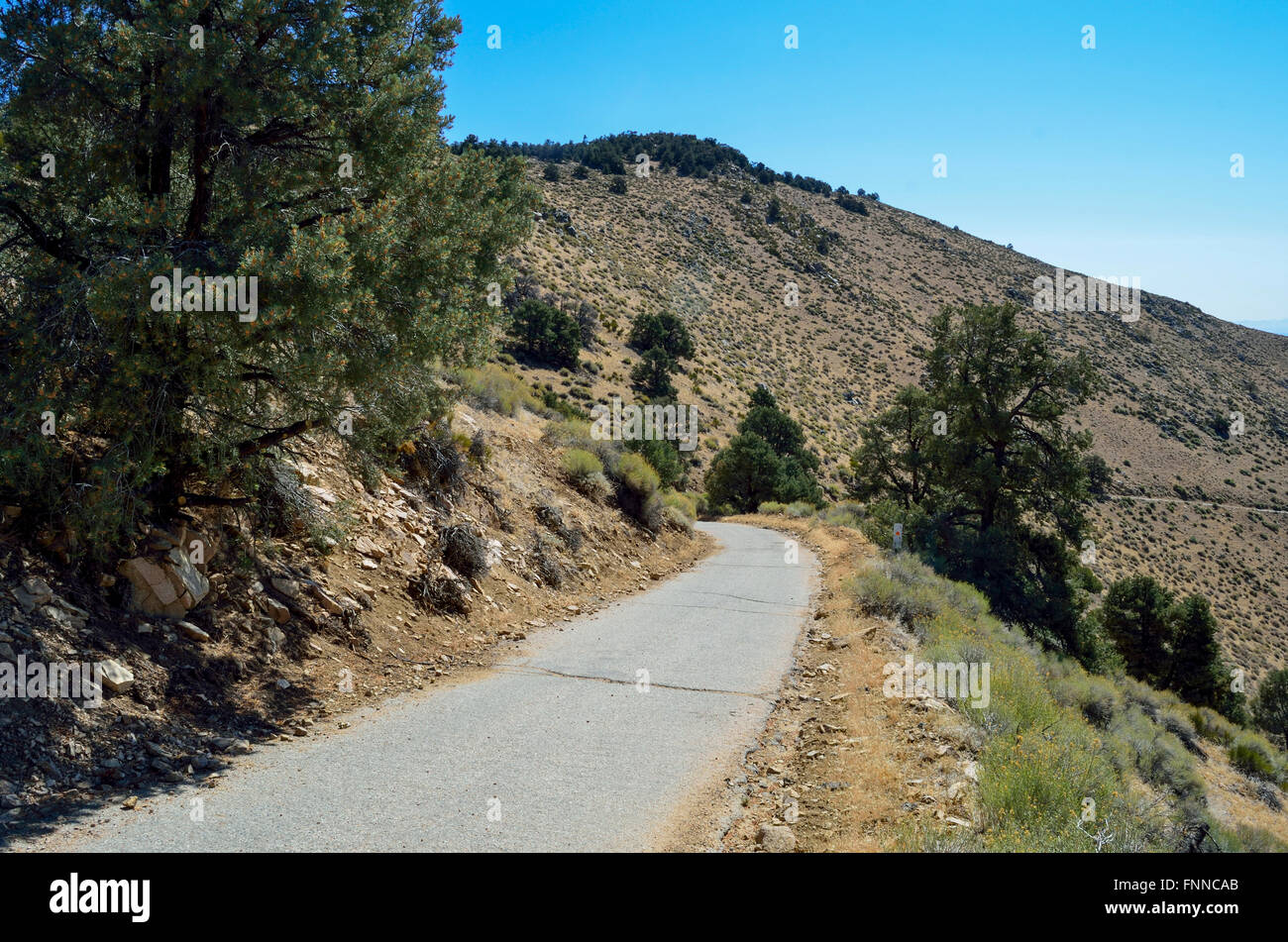 Narrow mountain road steep drop off, falling rocks, trees. Road on side ...