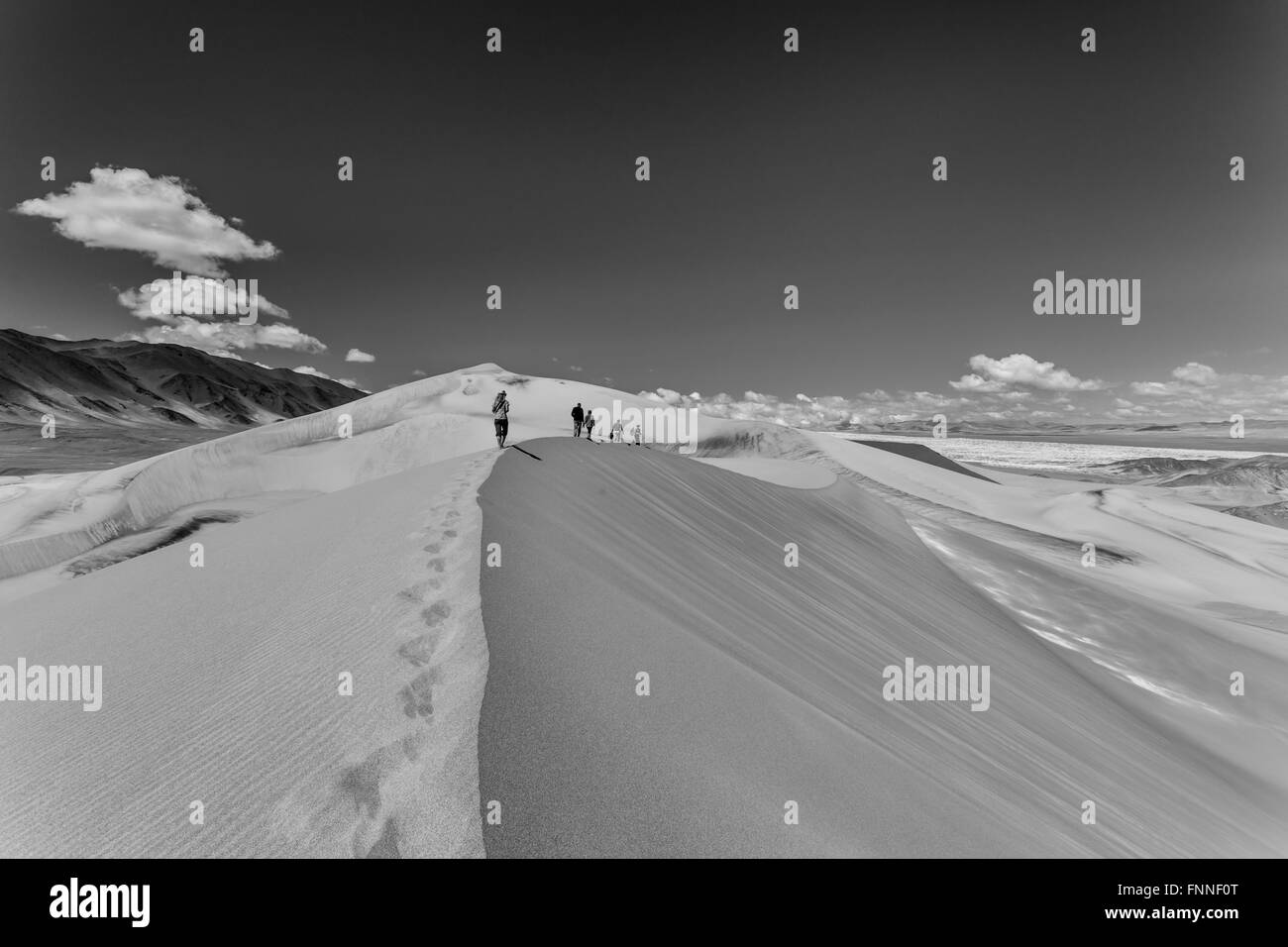 Sand dune landscape on Black and White Stock Photos & Images - Alamy
