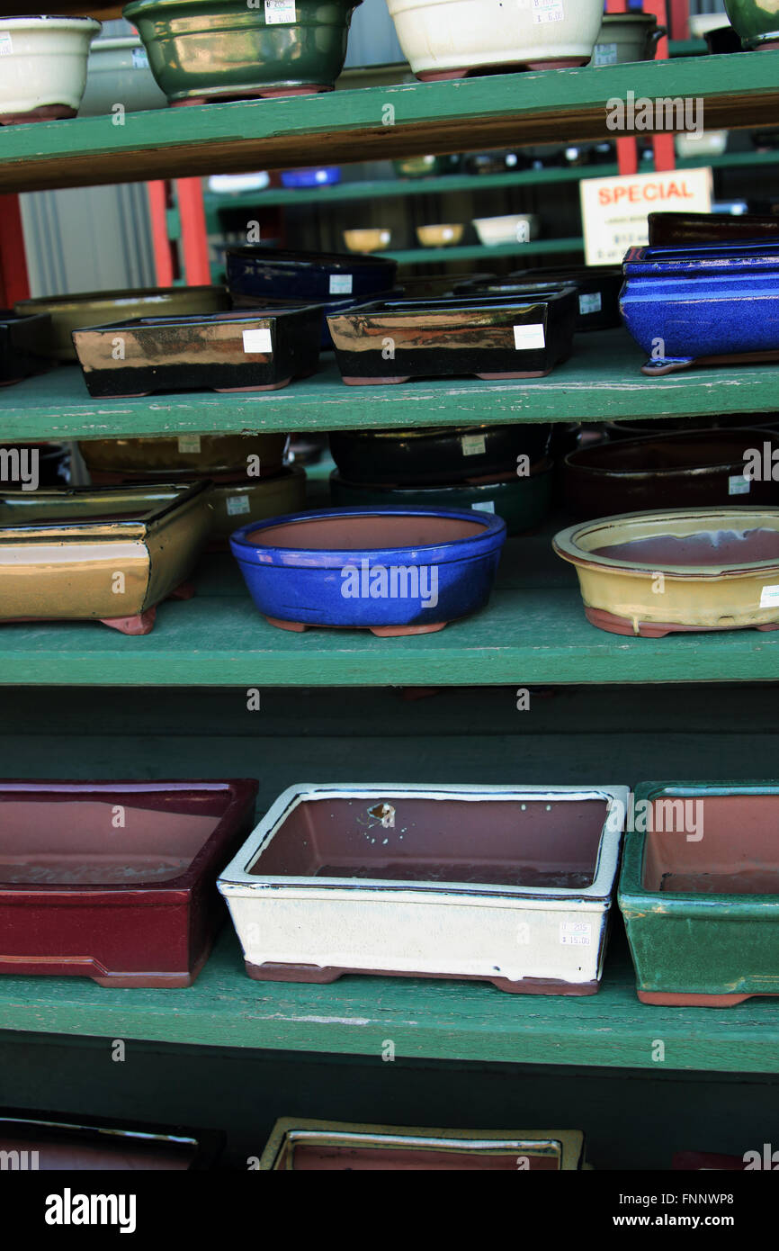 Bonsai ceramic pots for sale Stock Photo - Alamy