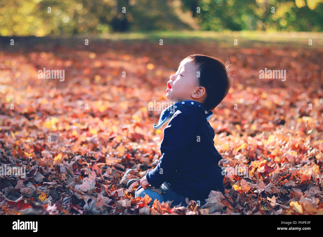 Breathe the crispy Autumn air Stock Photo - Alamy
