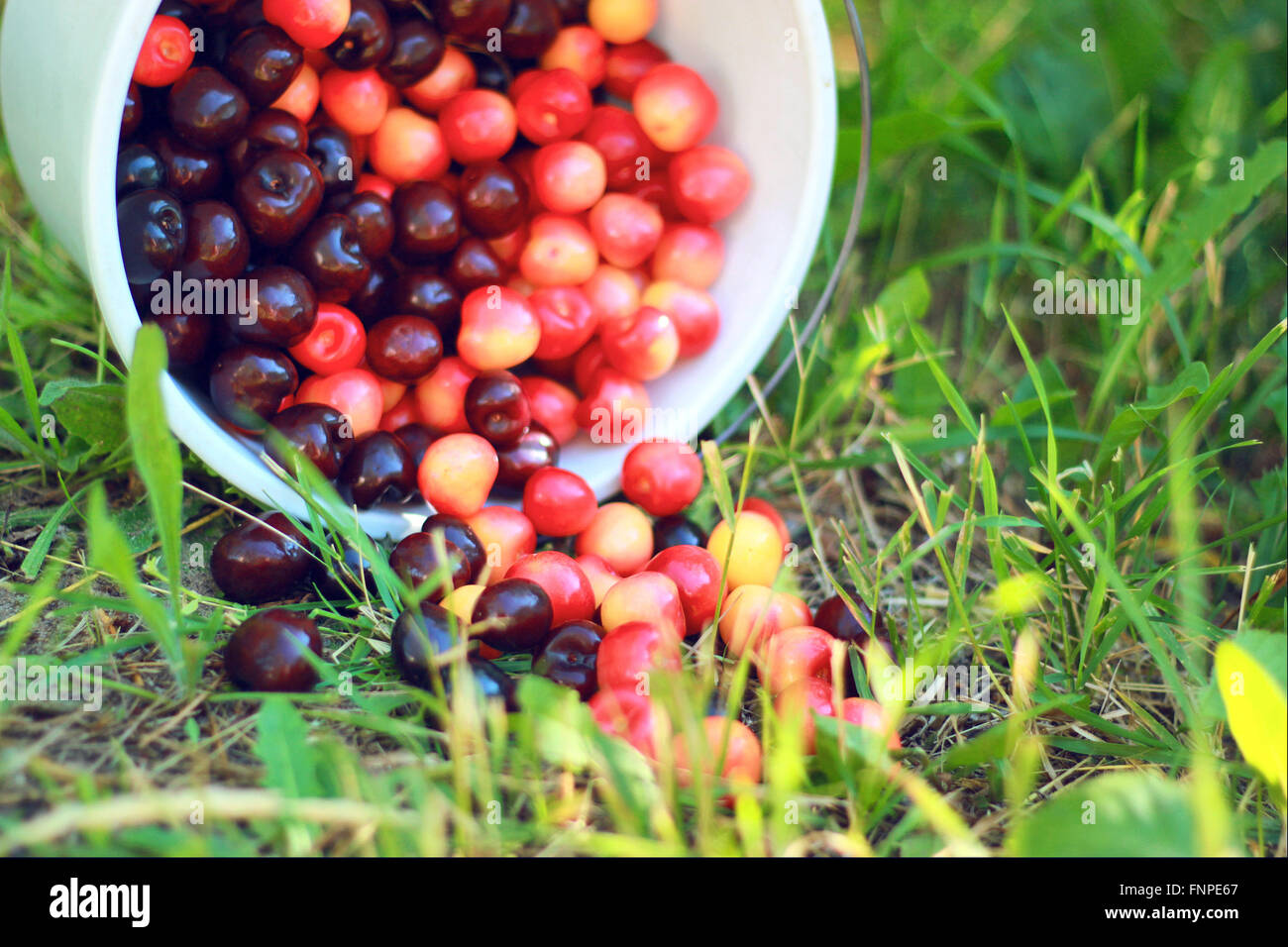 Michigan and nature hi-res stock photography and images - Alamy