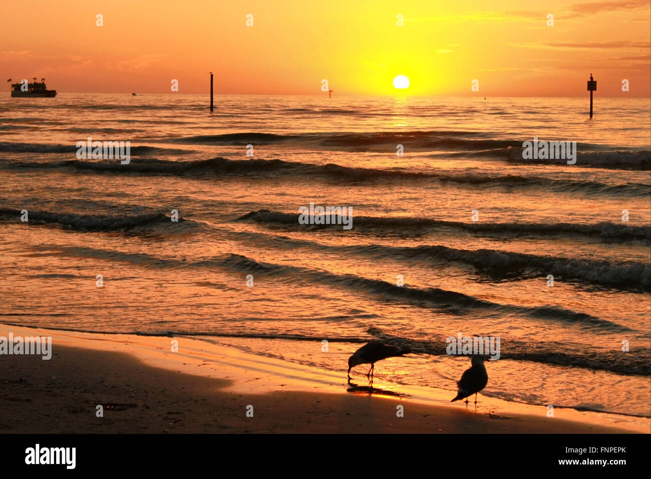 Miami sun hi-res stock photography and images - Alamy